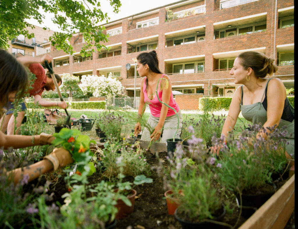 Transform Communities and Nature with Guerrilla Gardening Today