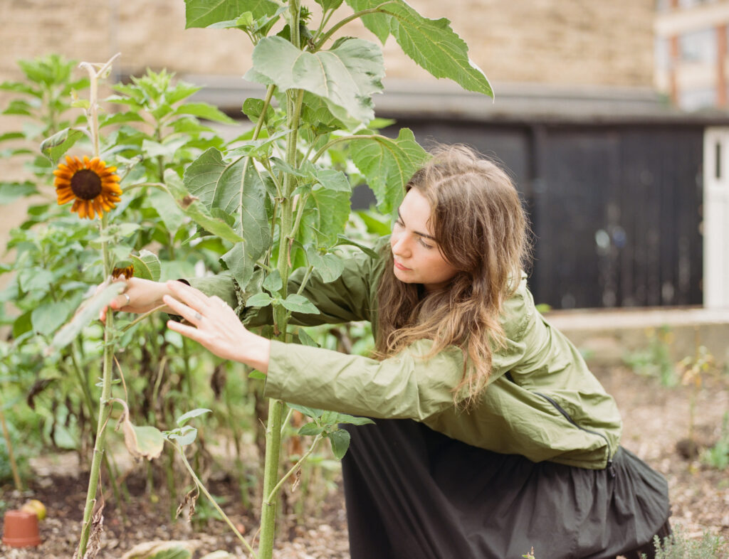 Transform Communities and Nature with Guerrilla Gardening Today